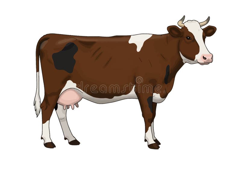 Cow Udder Clip Art