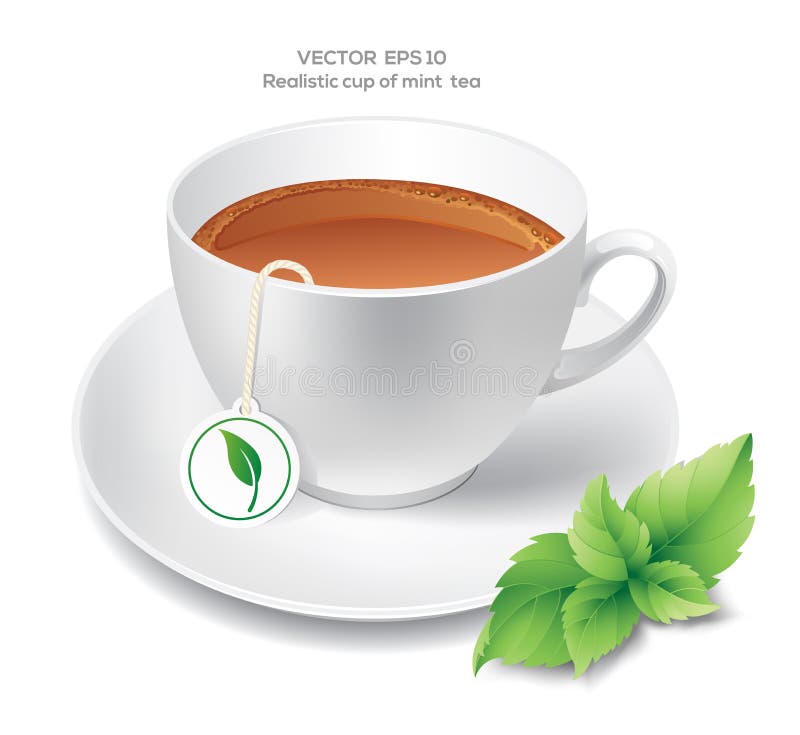 Realistic cup of mint tea stock vector. Illustration of ceramic - 58252492