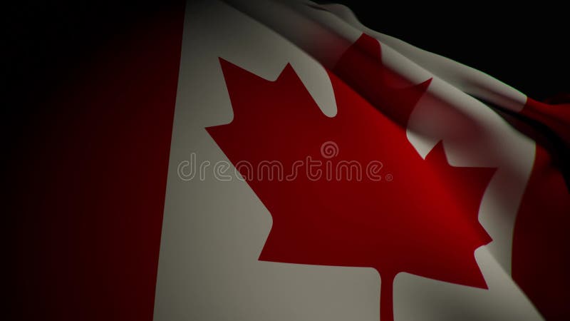 Realistic 3D Canada Flag Animation with Spotlight Stock Video - Video ...