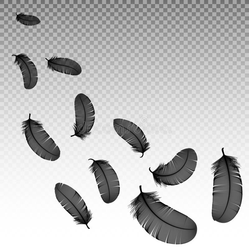 Smooth Detailed Feathers Stock Illustrations – 3,227 Smooth Detailed ...