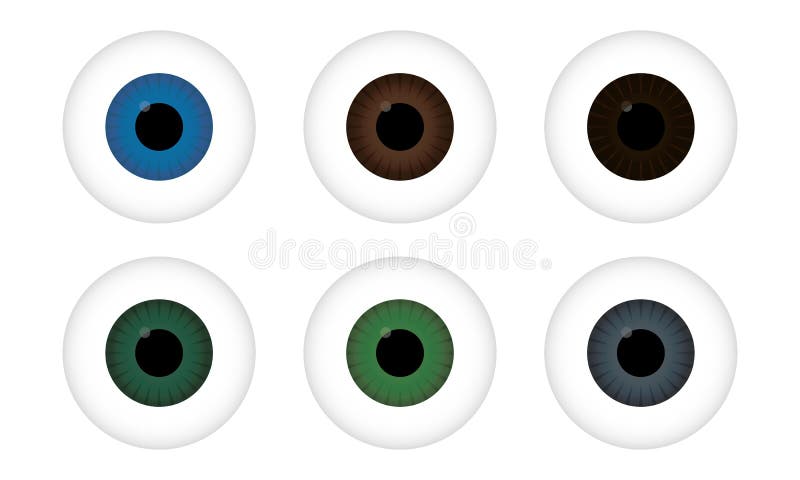 Realistic Human Eyeball on Transparent Background. Blue Pupil. Front ...