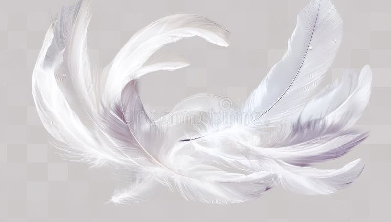 A Realistic 3D Modern Illustration of Falling Dove Feathers Texture or ...