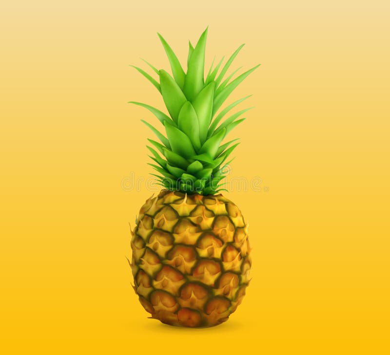 Realistic 3D Pineapple Single Fruit Isolated Stock Vector ...