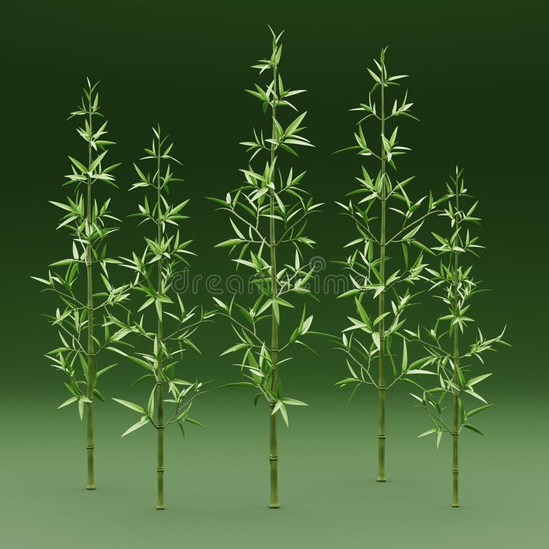 3D Render of Bamboo Plant stock illustration. Illustration of bamboo ...