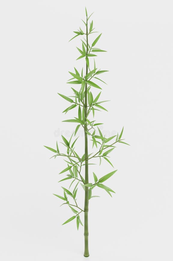 3D Render of Bamboo Plant stock illustration. Illustration of tropical ...