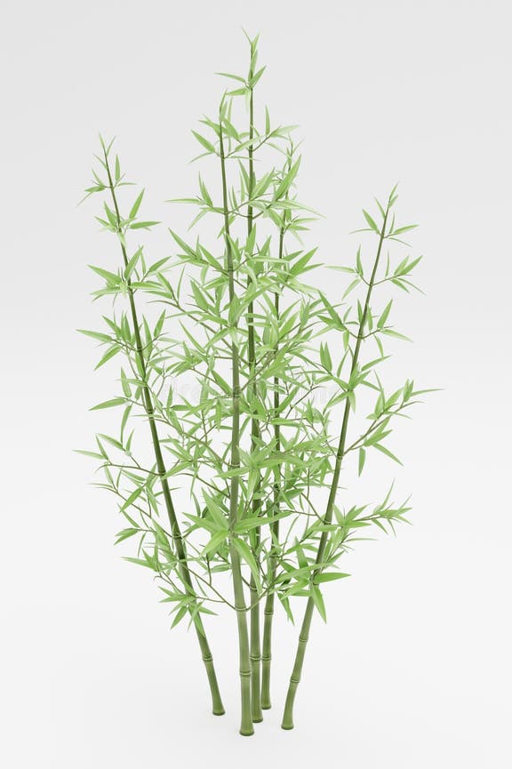 3D Render of Bamboo Plant stock illustration. Illustration of polygonal ...