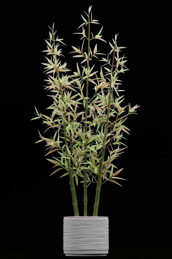 3D Render of Bamboo Plant stock illustration. Illustration of ...