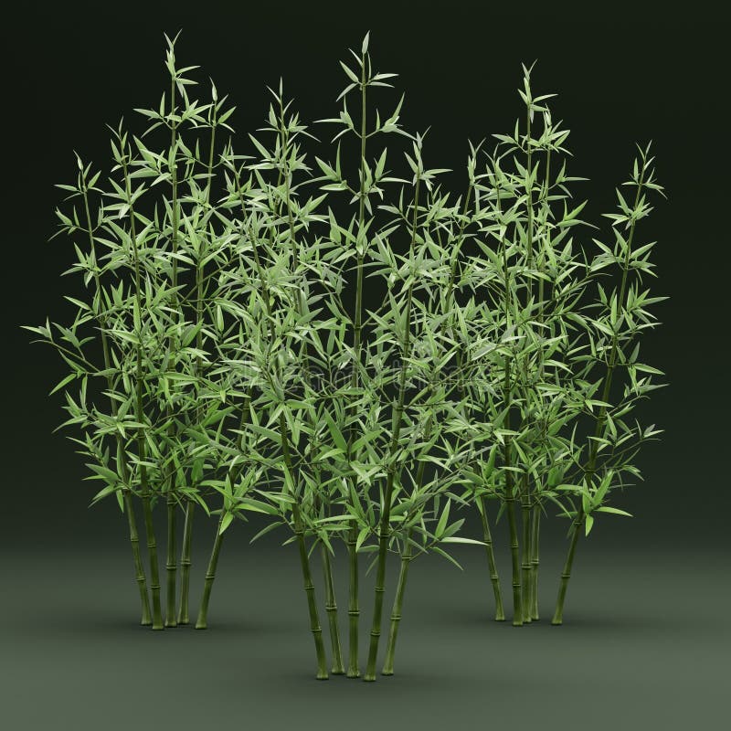 3D Render of Bamboo Plant stock illustration. Illustration of graphics ...