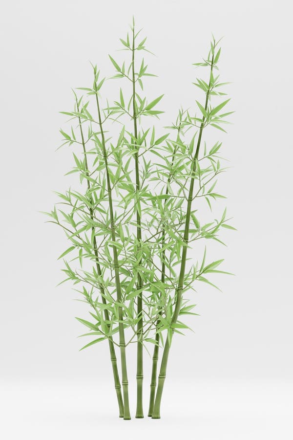 3D Render of Bamboo Plant stock illustration. Illustration of polygonal ...