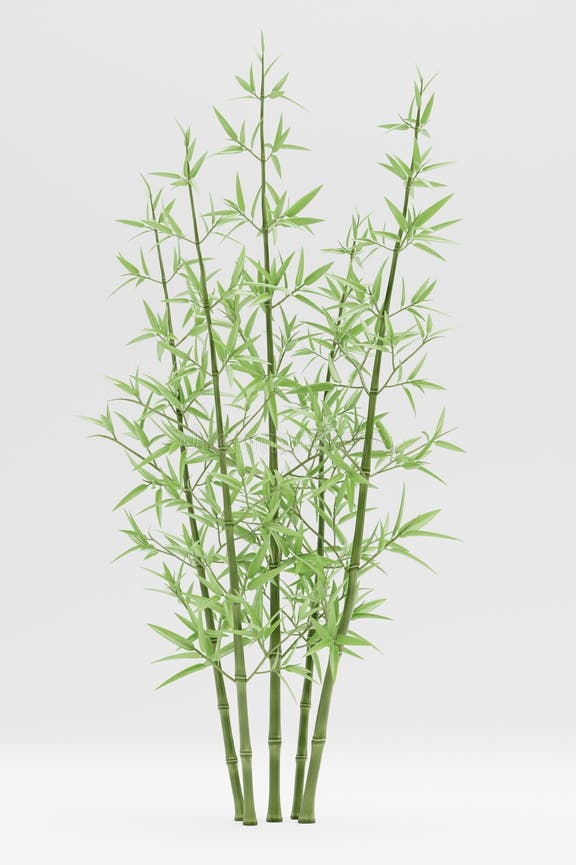 3D Render of Bamboo Plant stock illustration. Illustration of polygonal ...