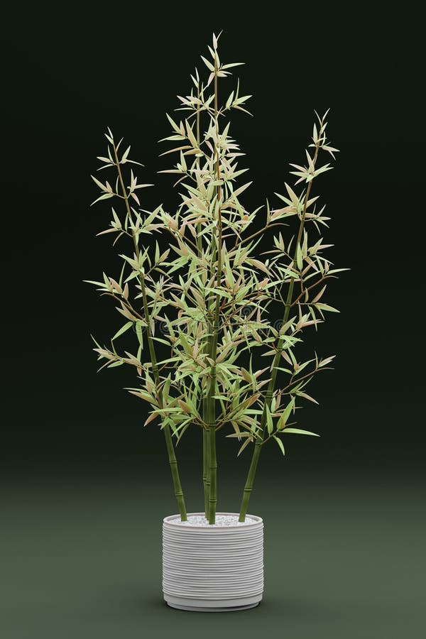 3D Render of Bamboo Plant stock illustration. Illustration of green ...