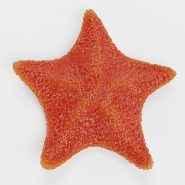 3D Render of Bat Starfish stock illustration. Illustration of patiria ...