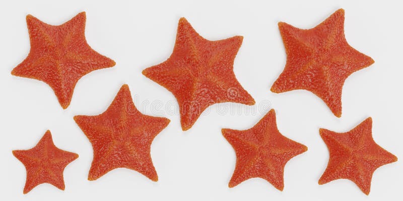 3D Render of Bat Starfish stock illustration. Illustration of seastar ...