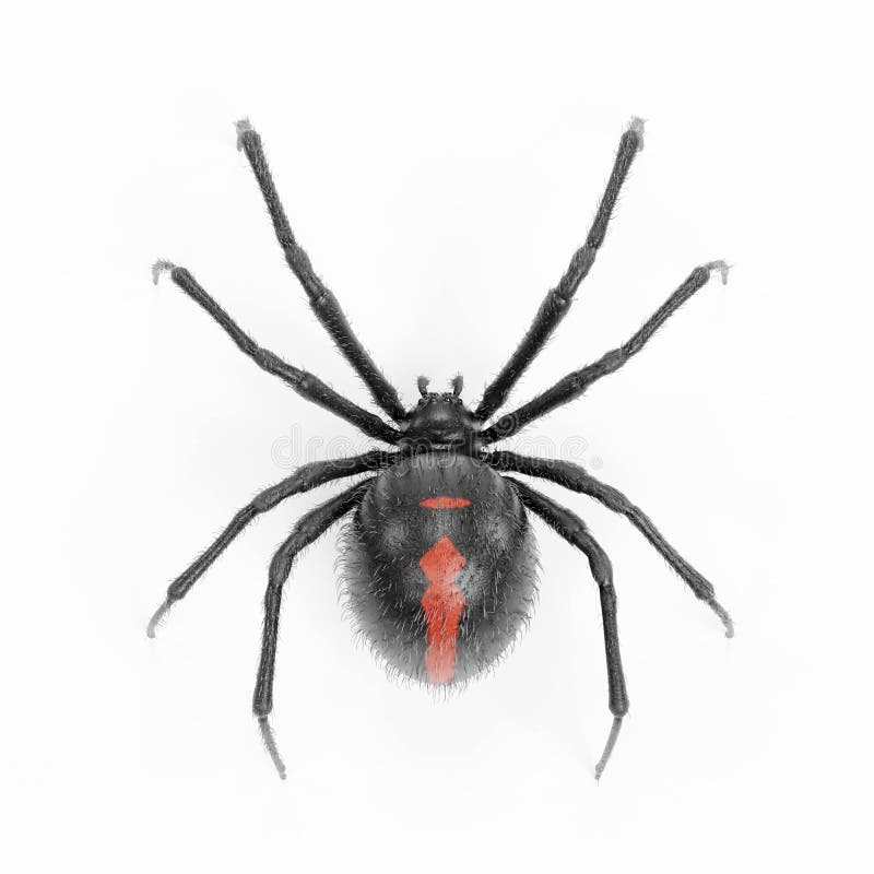 3D Render of Black Widow Spider Stock Illustration - Illustration of ...
