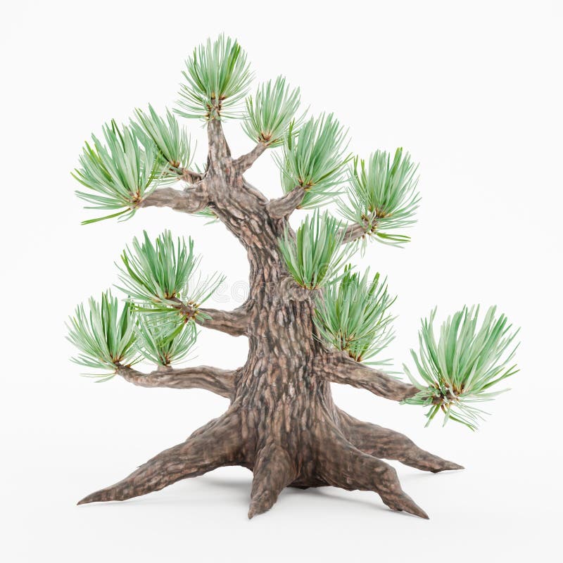 3D Render of Bonsai Tree stock illustration. Illustration of japanese ...