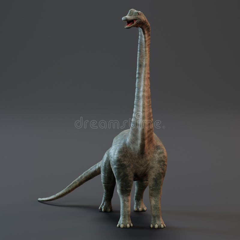 3D Render of Brachiosaurus Dinosaur Stock Illustration - Illustration ...