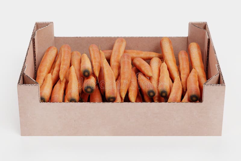 3d Render of Carrots in Box Stock Illustration - Illustration of paper ...