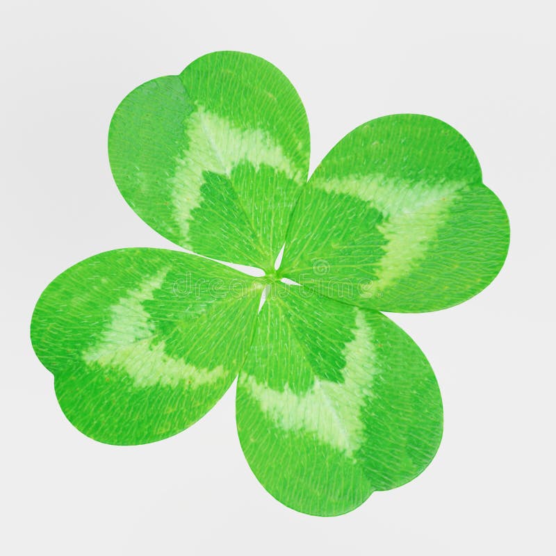 Realistic Clover Stock Illustrations – 3,210 Realistic Clover Stock ...