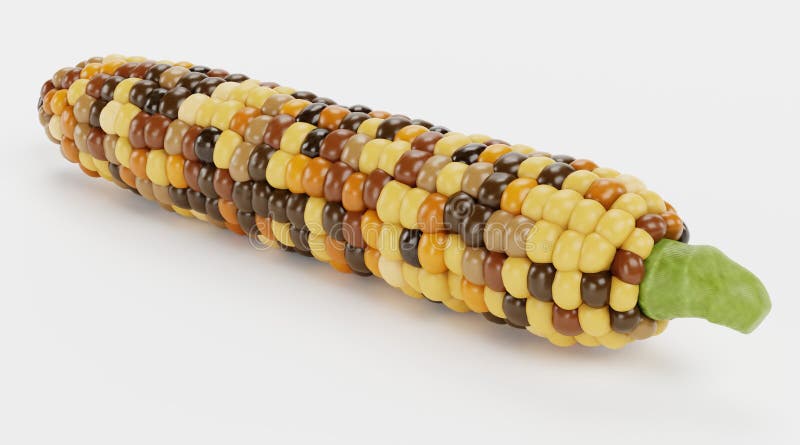 3D Render of Corn stock illustration. Illustration of crop - 263091412