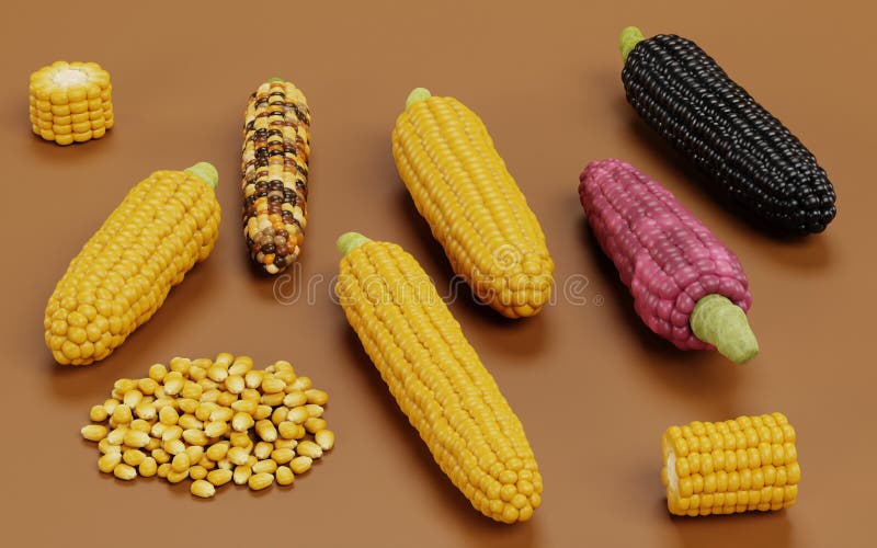 3D Render of Corns Collection Stock Illustration - Illustration of ...