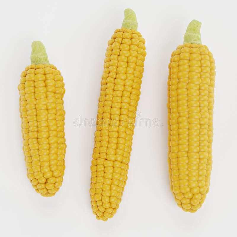 3D Render of Corns stock illustration. Illustration of render - 263316246