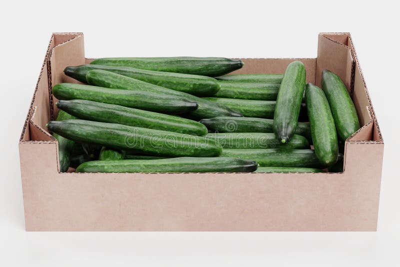 3D Render of Cucumbers in Box Stock Illustration - Illustration of ...