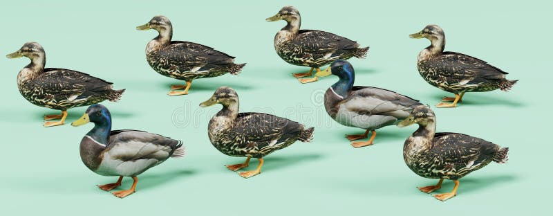 3D Render of Ducks stock illustration. Illustration of color - 105473391