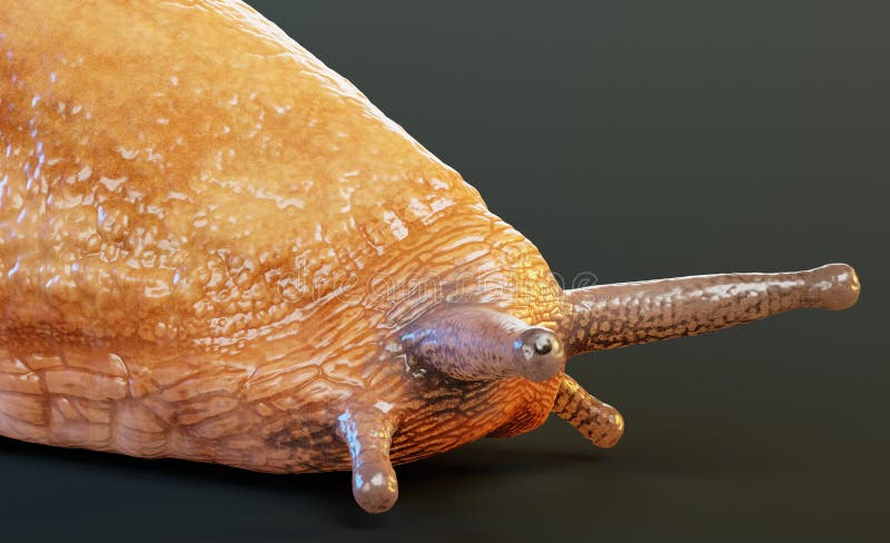 3D Render of Dusky Arion - Slug Stock Illustration - Illustration of ...