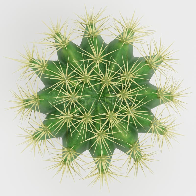 3D Render of Golden Barrel Cactus Stock Illustration - Illustration of ...