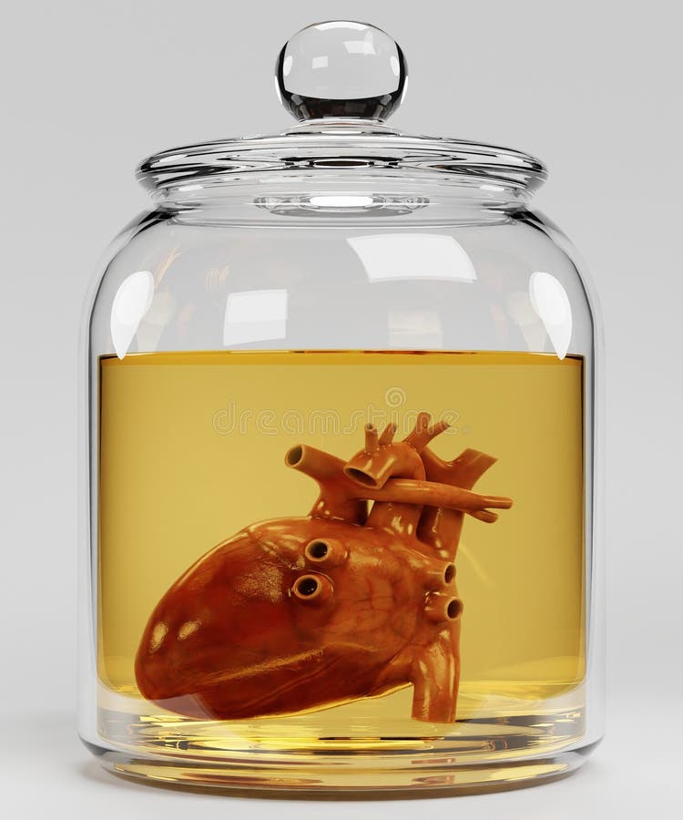 3D Render of Human Heart in Jar Stock Illustration - Illustration of ...
