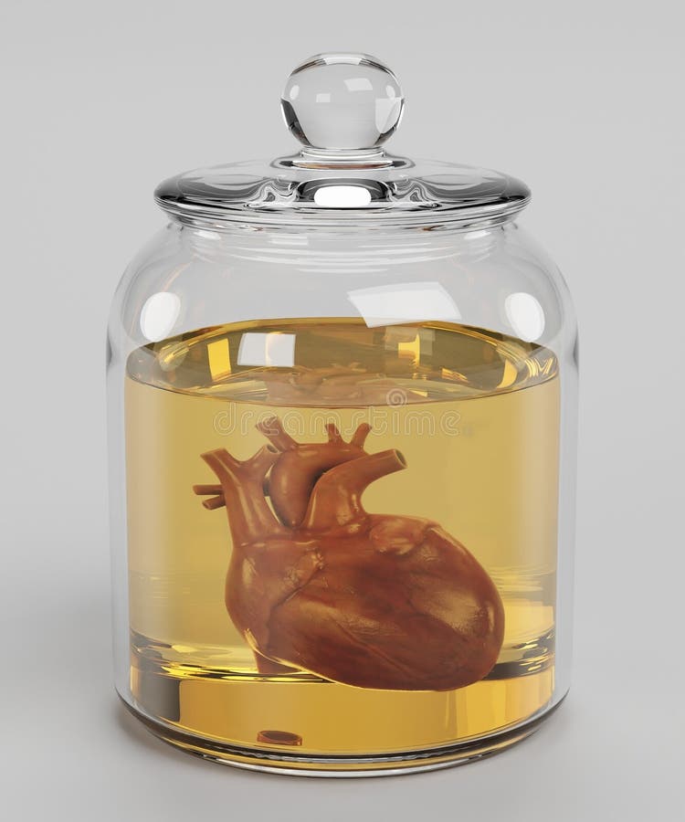 3D Render of Human Heart in Jar Stock Illustration - Illustration of ...