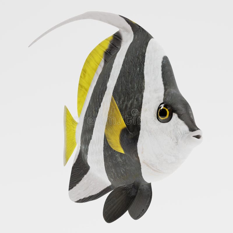 3d Render of Longfin Bannerfish Stock Illustration - Illustration of ...