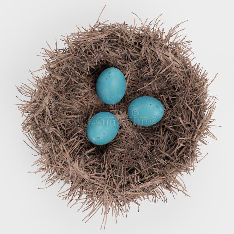 3D Render of Nest stock illustration. Illustration of animal - 236348261
