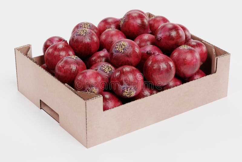 3D Render of Onions in Box stock illustration. Illustration of shop ...