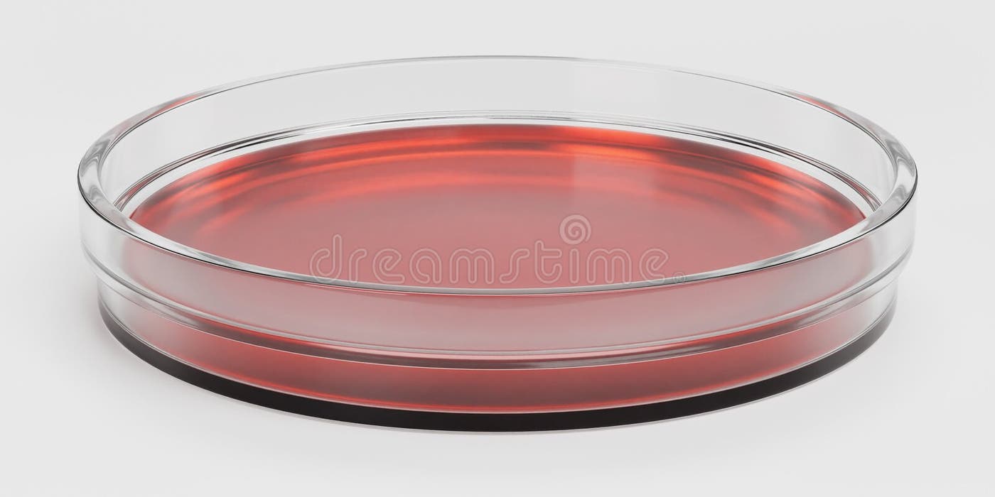 Petri Dish Blood Stock Illustrations – 477 Petri Dish Blood Stock ...