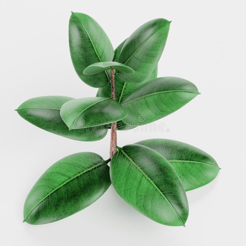 Set of Rubber Tree Tapping Icon and Symbol, Vector Stock Vector ...