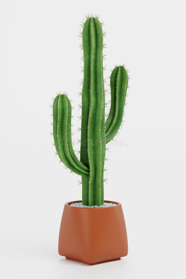 3D Render of Saguaro Cactus Stock Illustration - Illustration of cacti ...