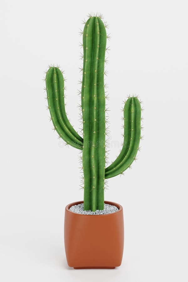 3D Render of Saguaro Cactus Stock Illustration - Illustration of render ...