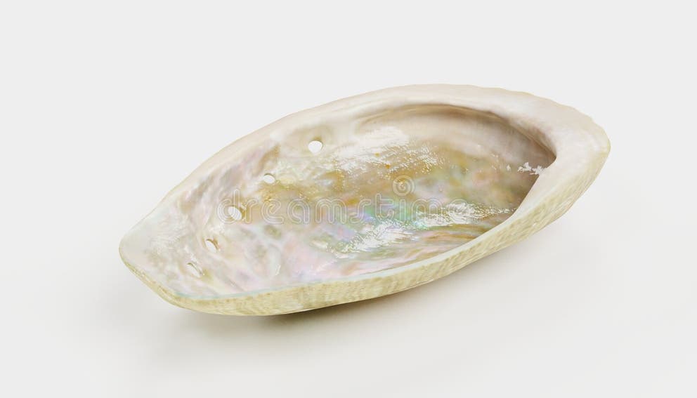 3D Render of Shell stock illustration. Illustration of limpet - 114915480