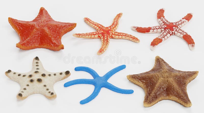3D Render of Starfish Collection Stock Illustration - Illustration of ...