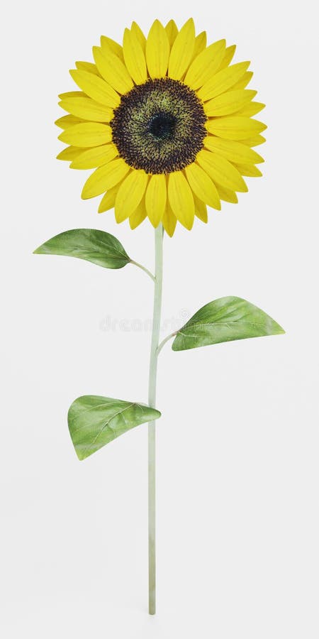 3D Render of Sunflower Field Stock Illustration - Illustration of ...
