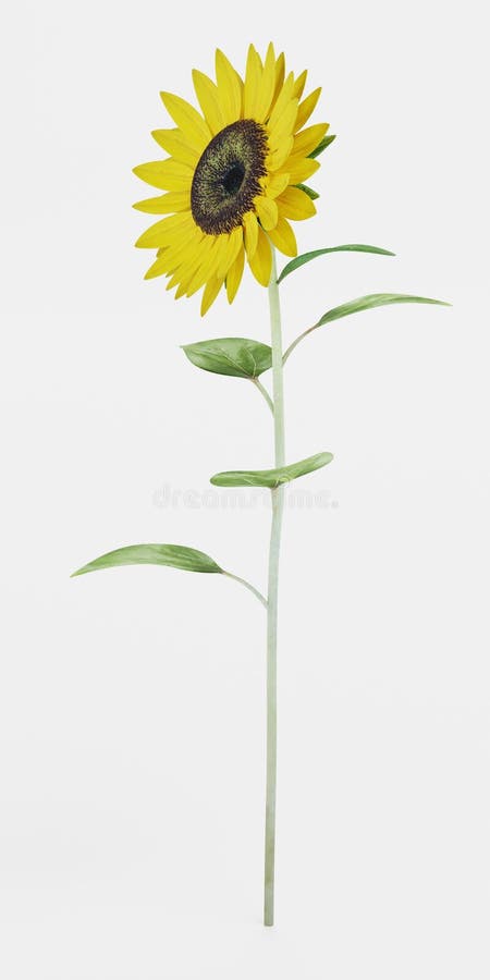 3D Render of Sunflower Field Stock Illustration - Illustration of ...