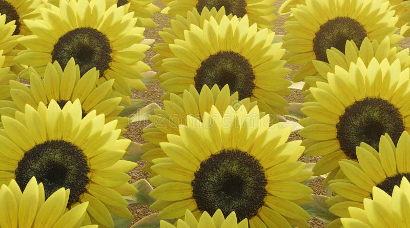 3D Render of Sunflower Field Stock Illustration - Illustration of ...