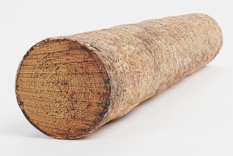 3D Render of Tree Log stock illustration. Illustration of wood - 249655134