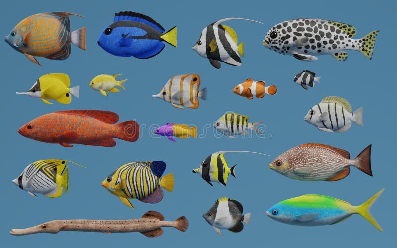 3D Render of Tropical Fish Collection Stock Illustration - Illustration ...