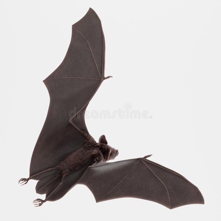 3D Render of Vampire Bat stock illustration. Illustration of desmodus ...