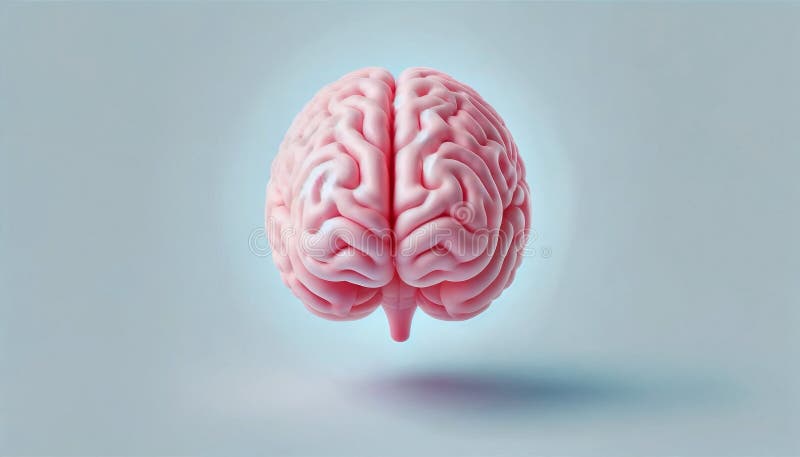 A Realistic 3D Rendering of a Human Brain in Pink Tones, Floating ...
