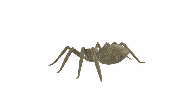 Realistic 3D Rendering of a Spider in a Neutral Background Environment ...