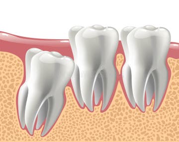 Wisdom Stock Illustrations – 362,255 Wisdom Stock Illustrations ...