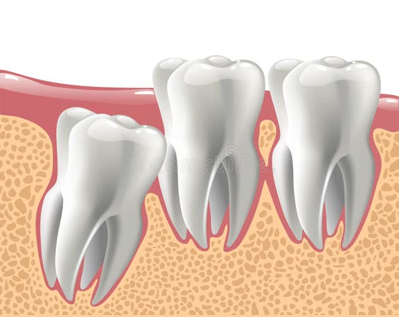 Wisdom Stock Illustrations – 362,255 Wisdom Stock Illustrations ...